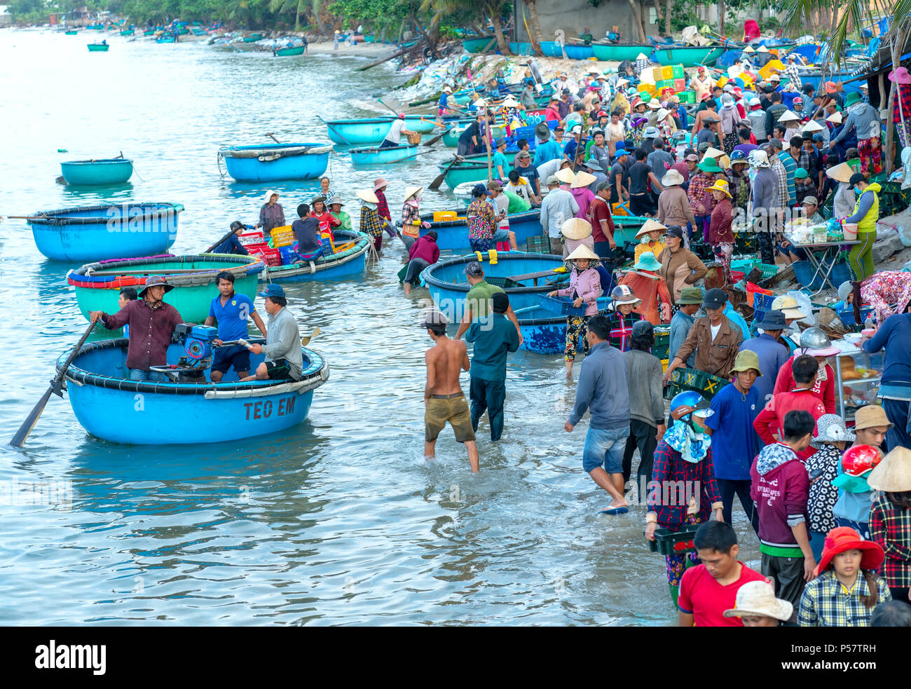 Marina beach fish market hi-res stock photography and images - Alamy