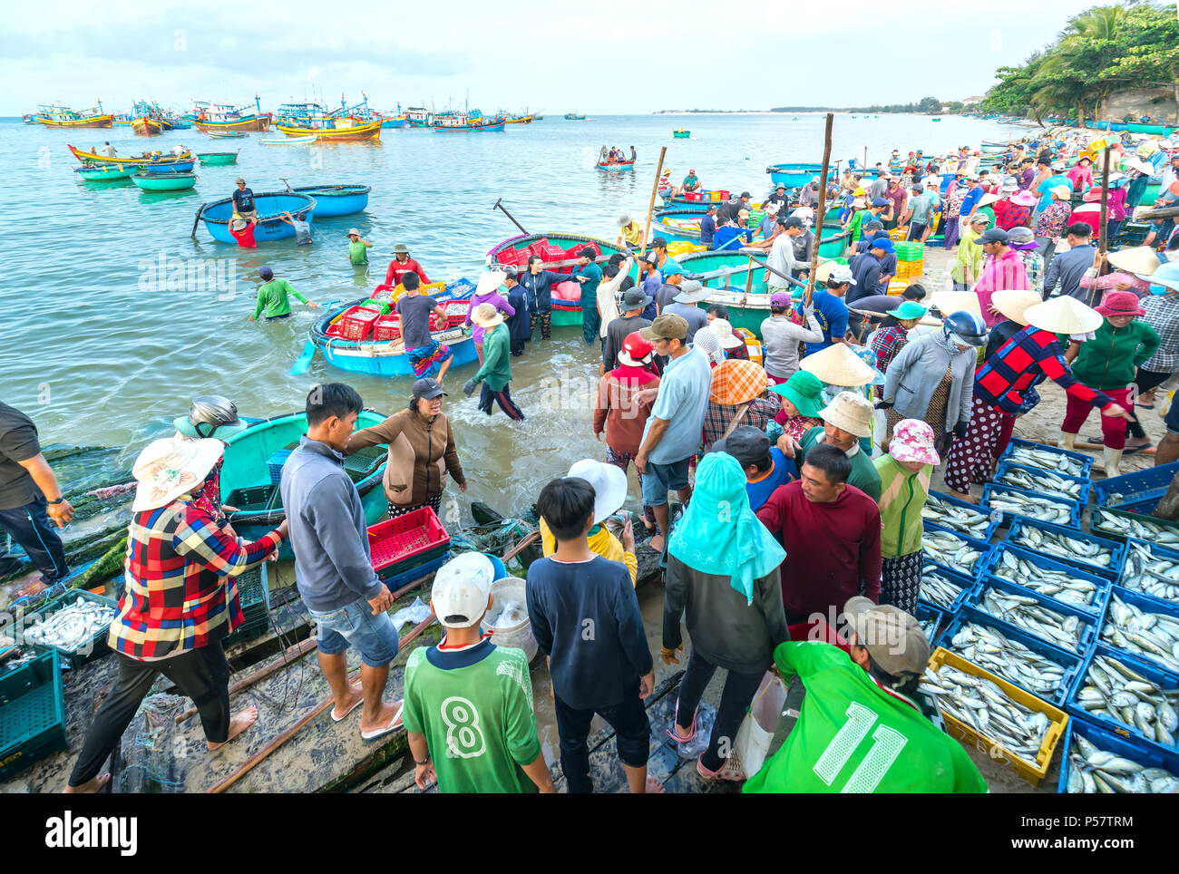Market early fishing village when people busy buying selling fish ...