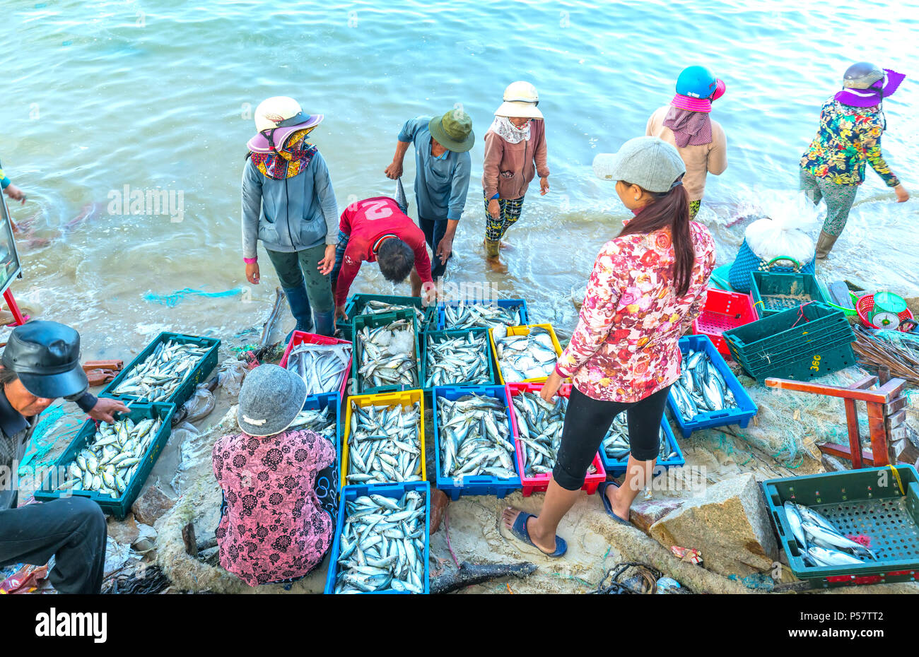 Market early fishing village when people busy buying selling fish ...