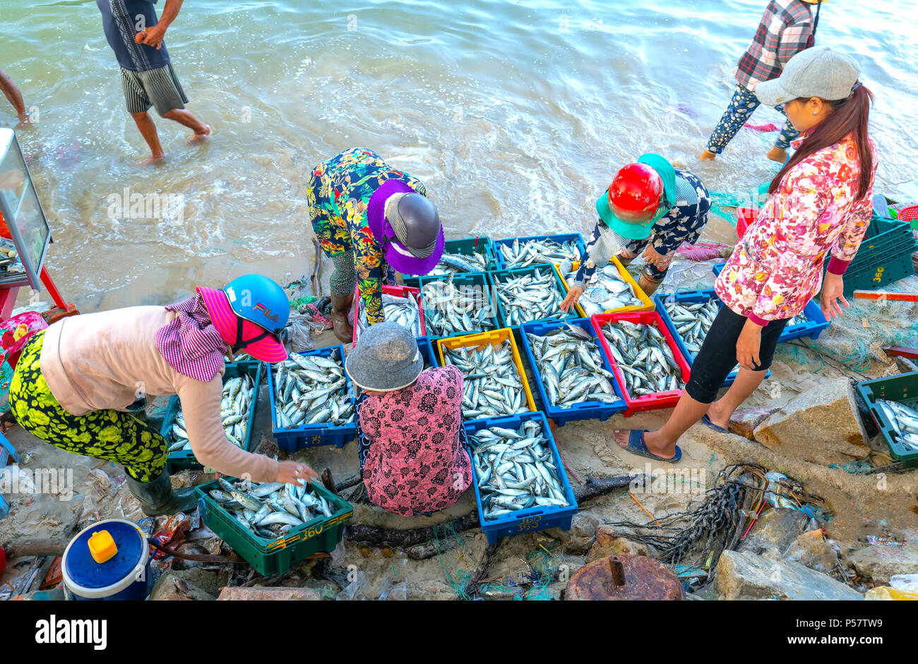 Collective Create High Resolution Stock Photography and Images - Alamy