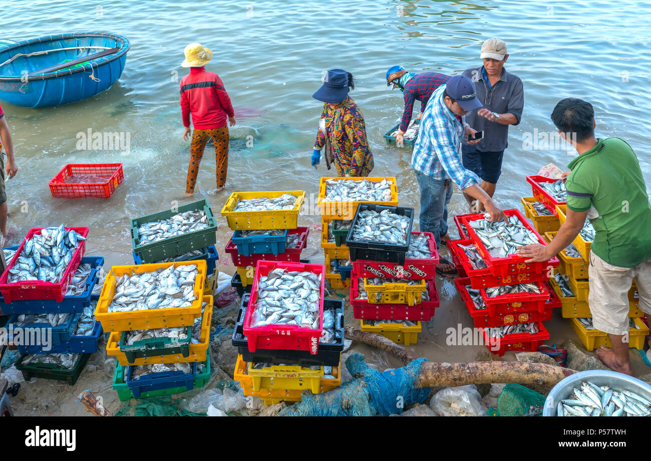 Collective buying hi-res stock photography and images - Alamy
