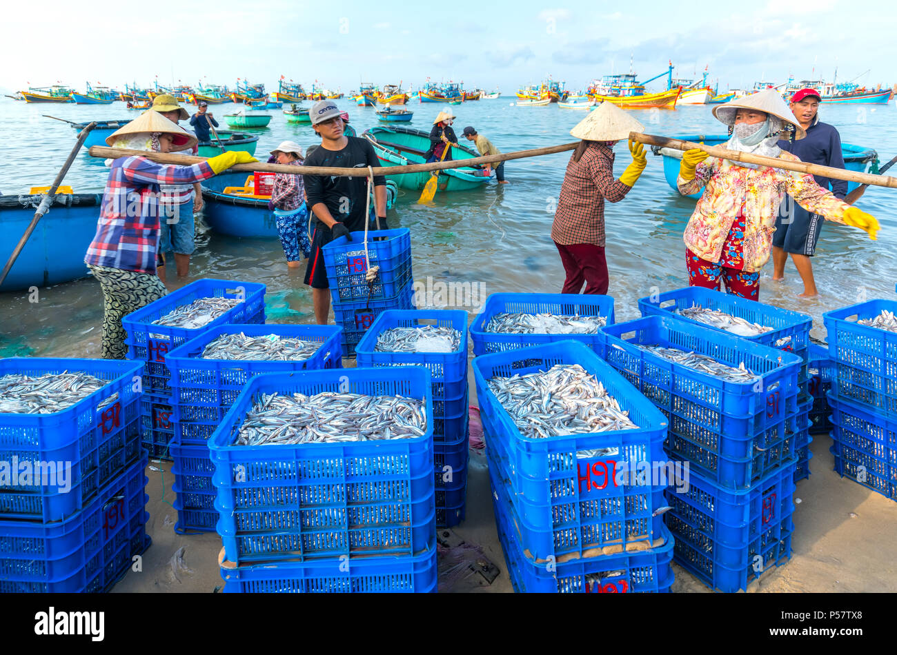 Collective Labor Agreement Stock Photos & Collective Labor Agreement ...