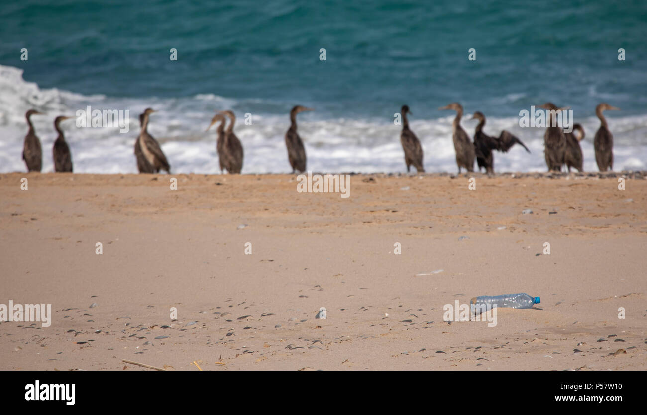 Oman pollution hi-res stock photography and images - Alamy