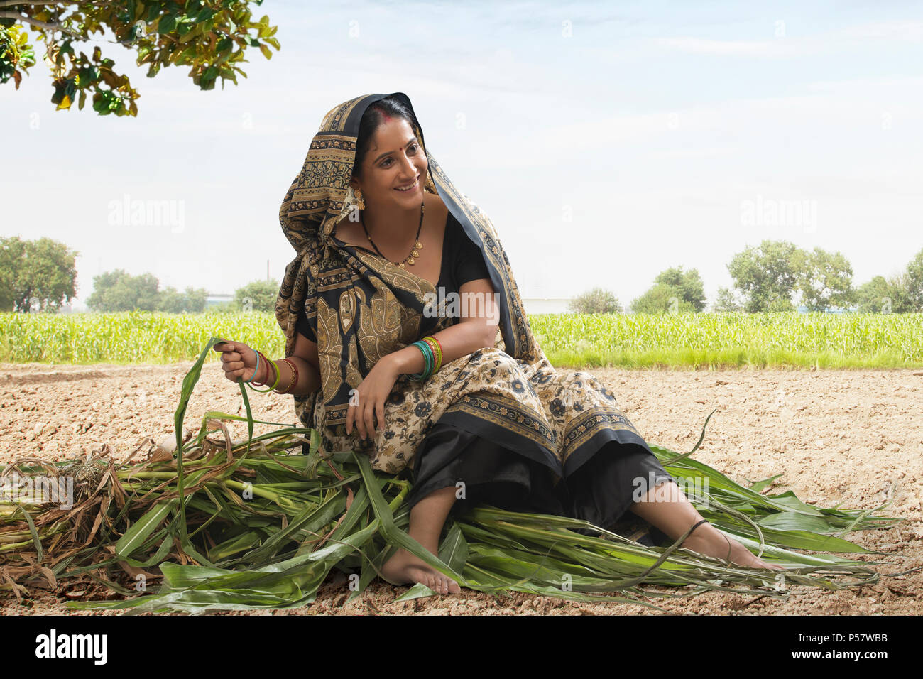 Indian women working in paddy hi-res stock photography and images - Alamy