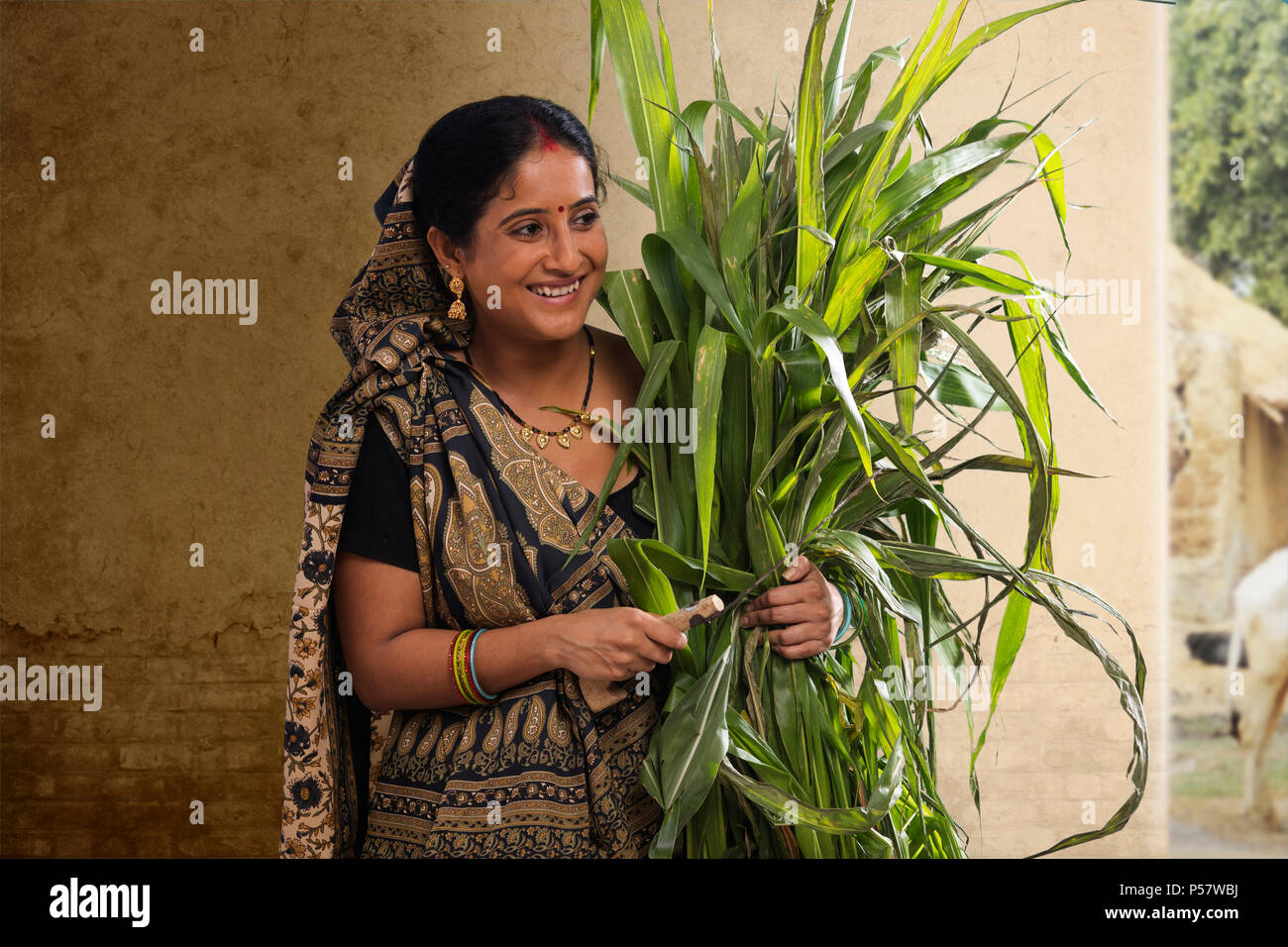 Indian rural woman holding bunch of crops and sickle Stock Photo - Alamy
