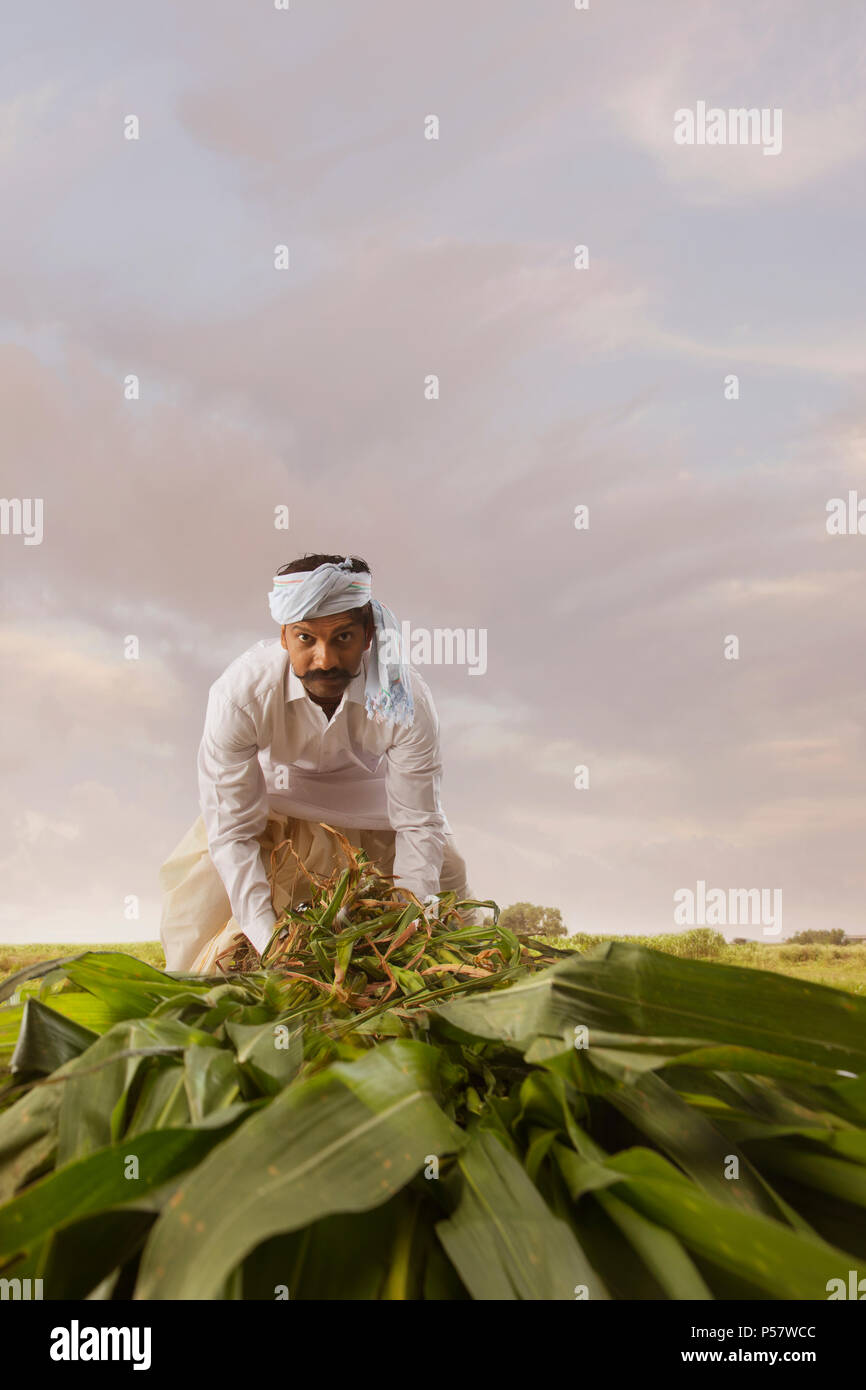 Men working in agriculture hi-res stock photography and images - Alamy