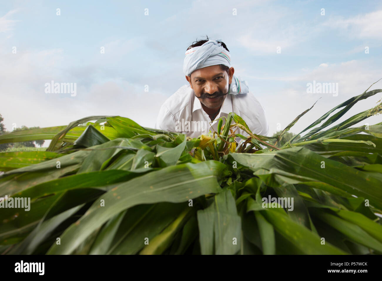 Farmer working the field hi-res stock photography and images - Alamy