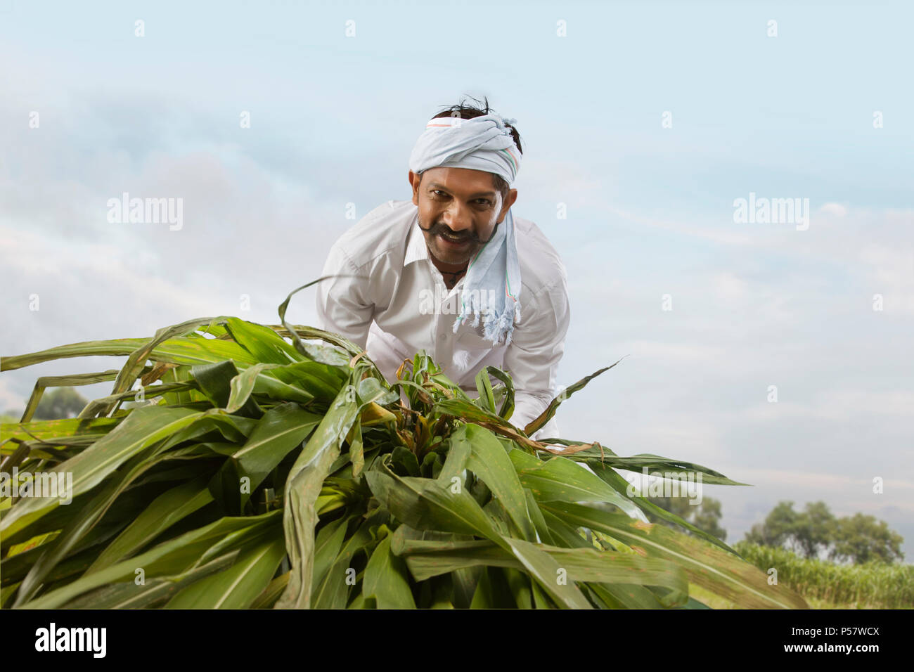 Farmer working in field hi-res stock photography and images - Alamy