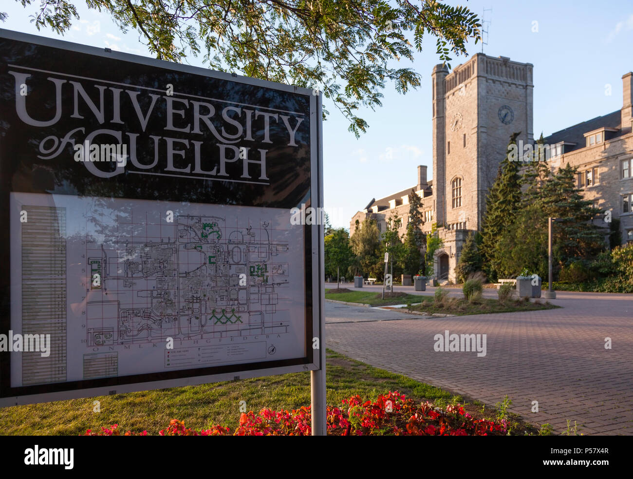 University of guelph canada hi-res stock photography and images - Alamy