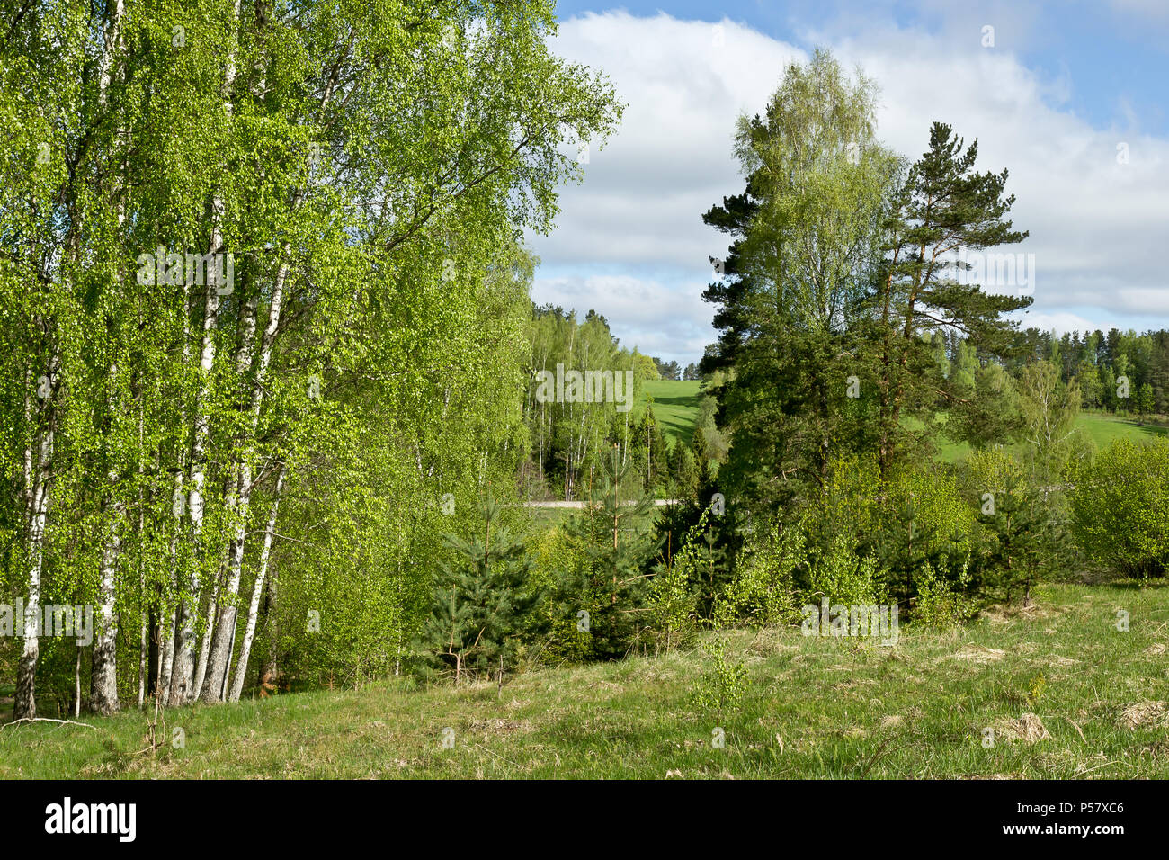 Nature of the harmony hi-res stock photography and images - Alamy