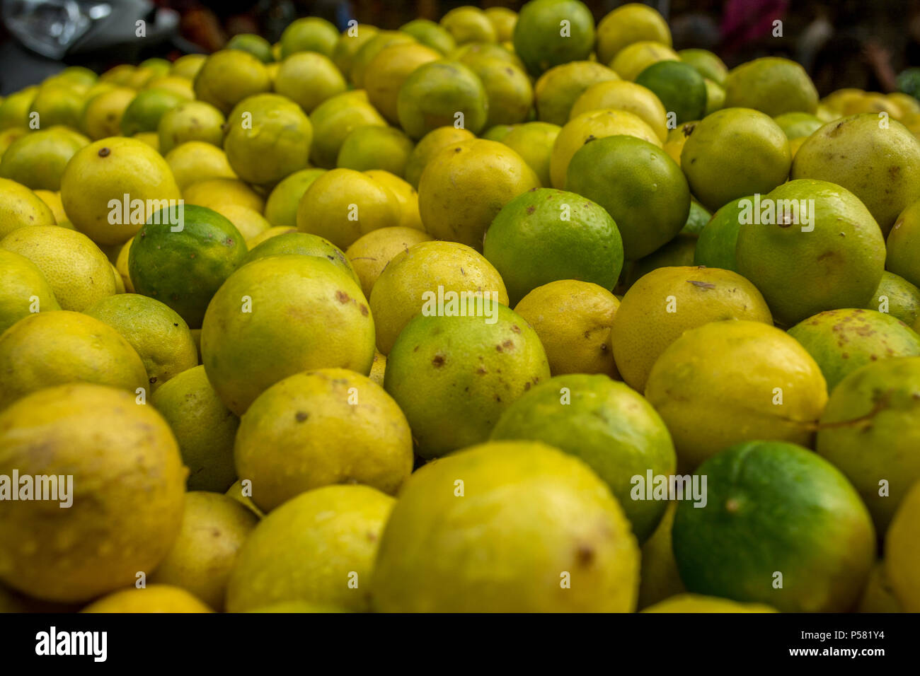 Lime or Lemon India Stock Photo - Alamy