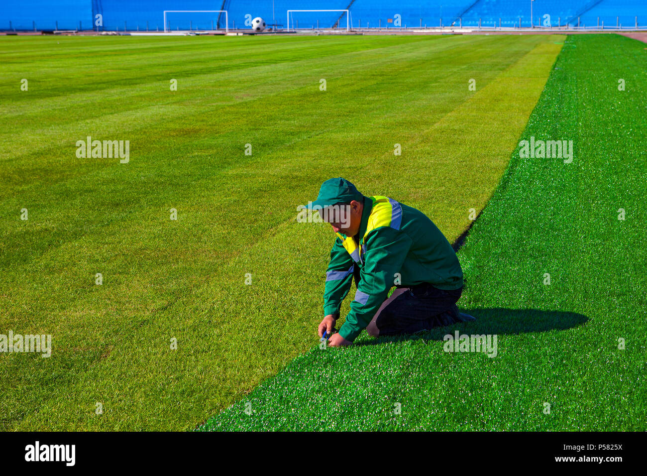 The worker finishes laying the lawn. Football. World Championship 2018 ...