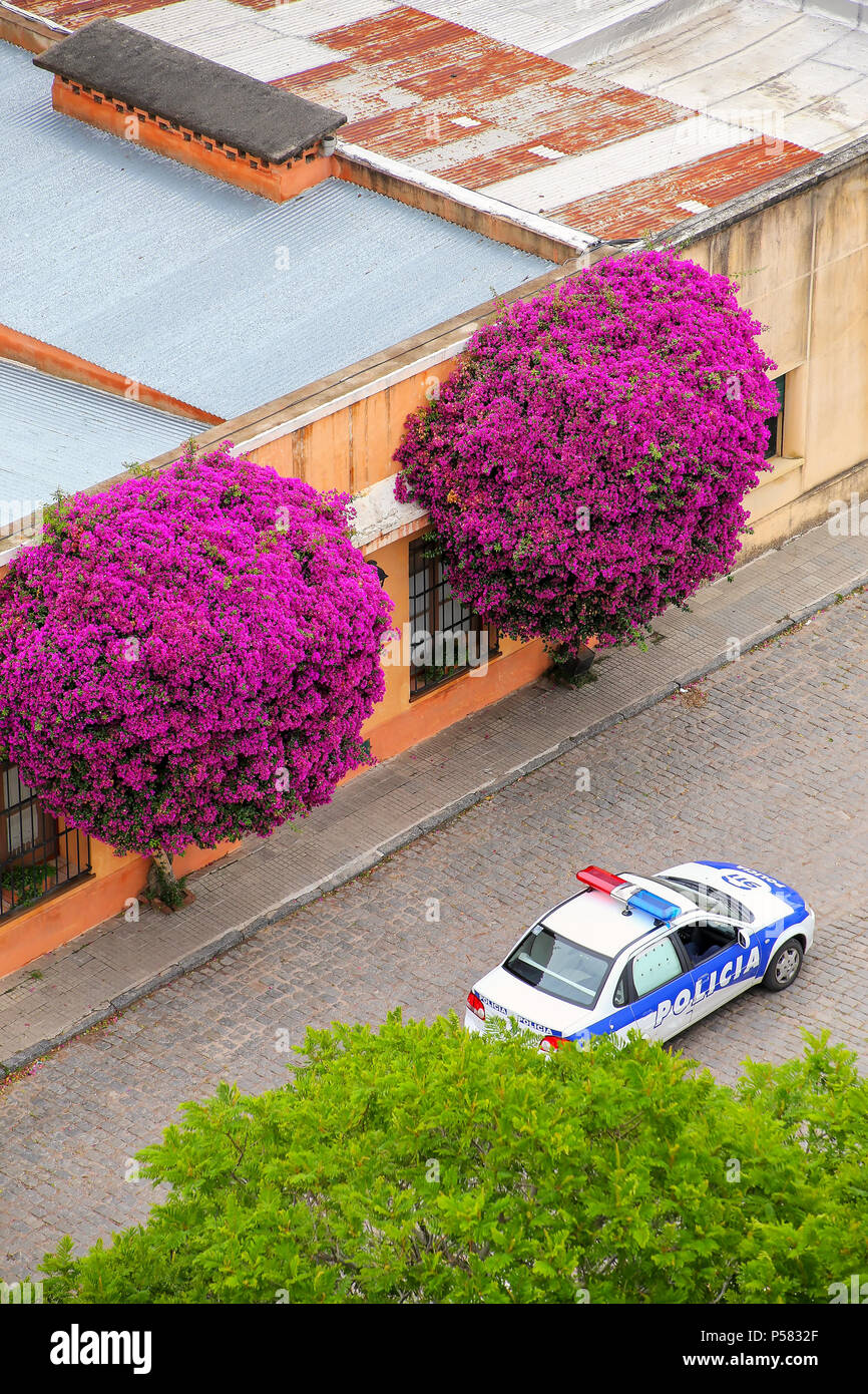 Aerial view of the street in historic quarter of Colonia del Sacramento ...