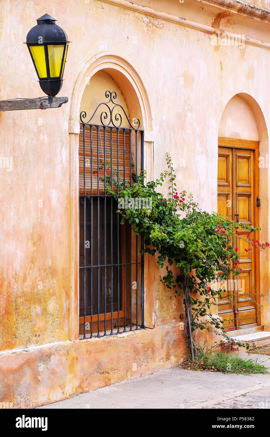 Close-up o a building with a street lamp and bougainvillea tree in ...
