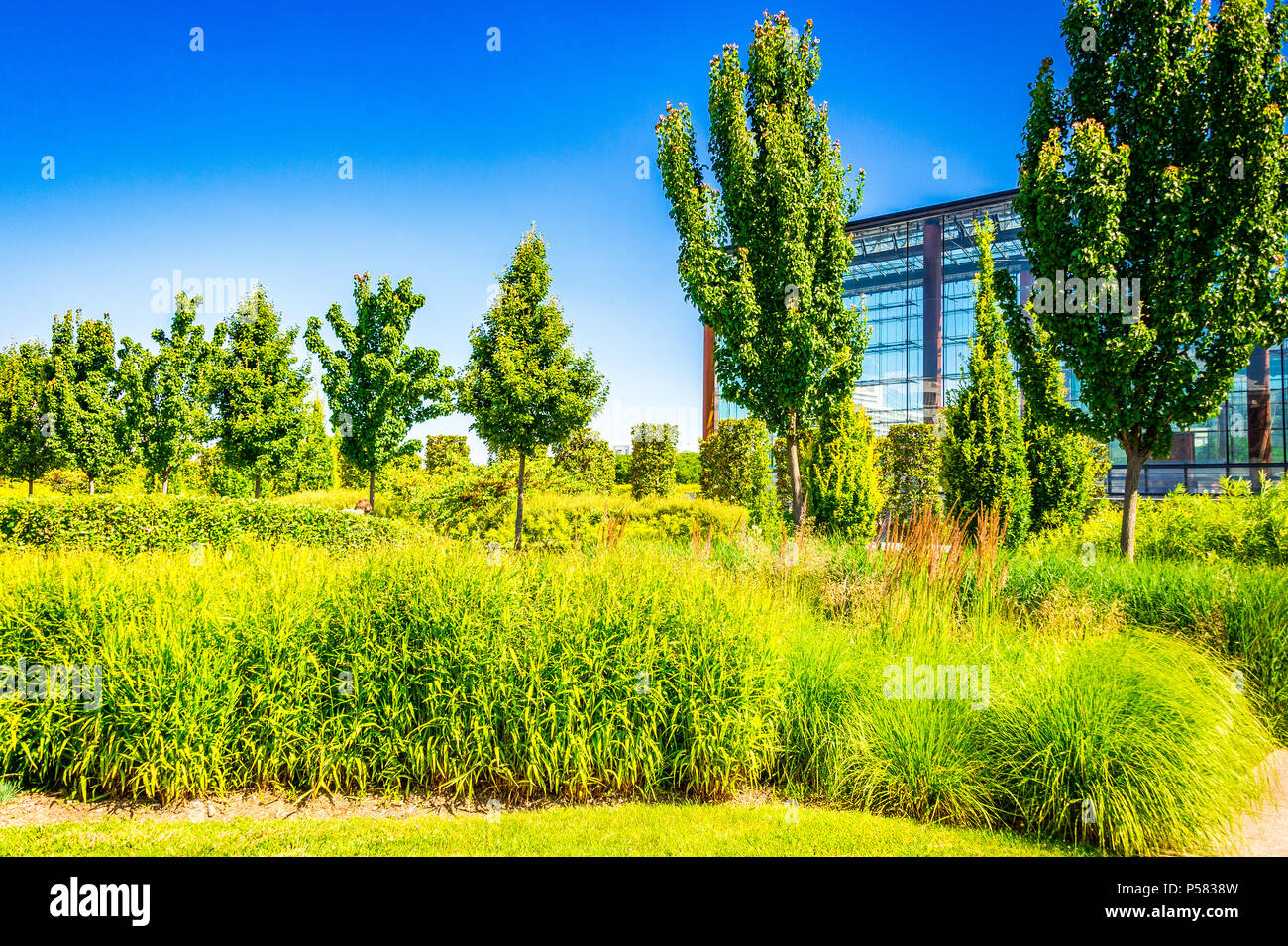 Parc Andre Citron in Paris, France Stock Photo - Alamy