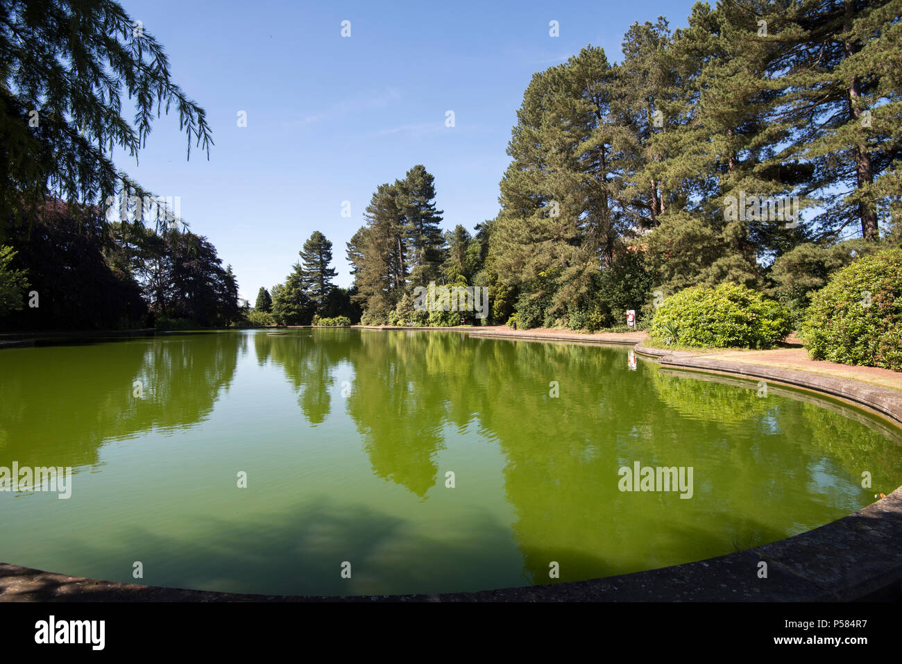 The Lake at Papplewick Pumping Station, Nottinghamshire England UK ...