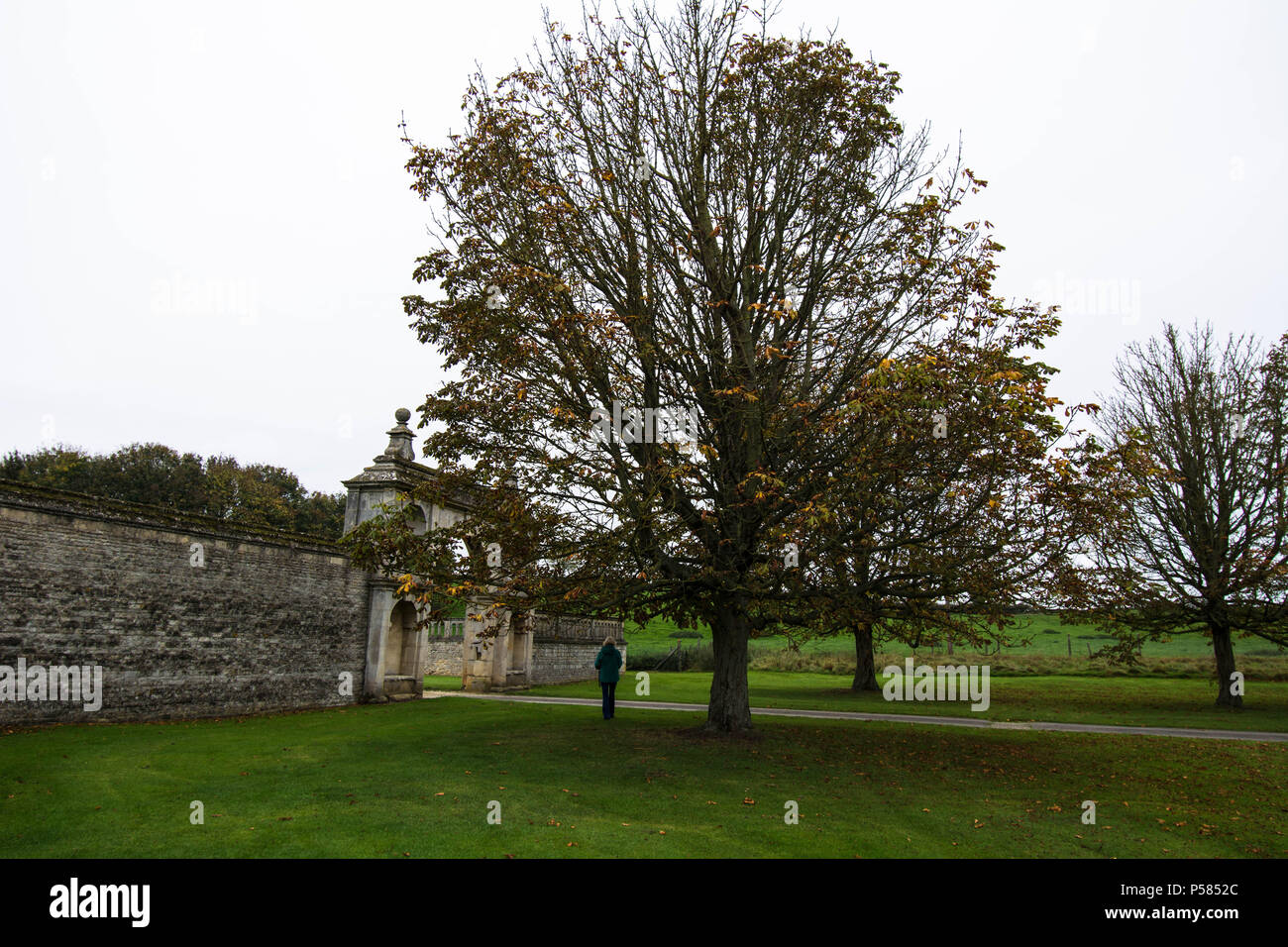 Stately Mansion Vector High Resolution Stock Photography and Images - Alamy