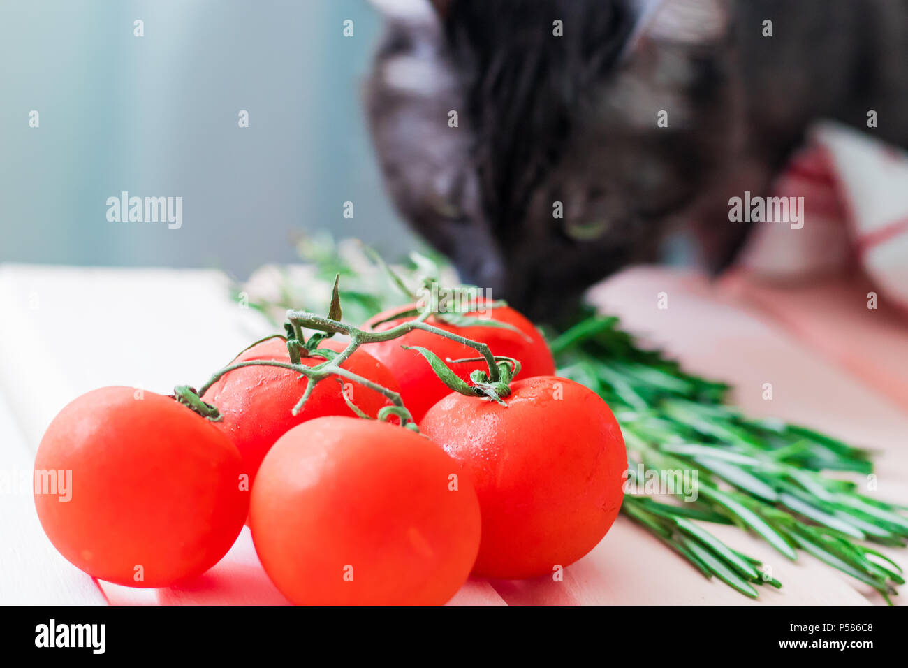 Pastel peach hi-res stock photography and images - Alamy