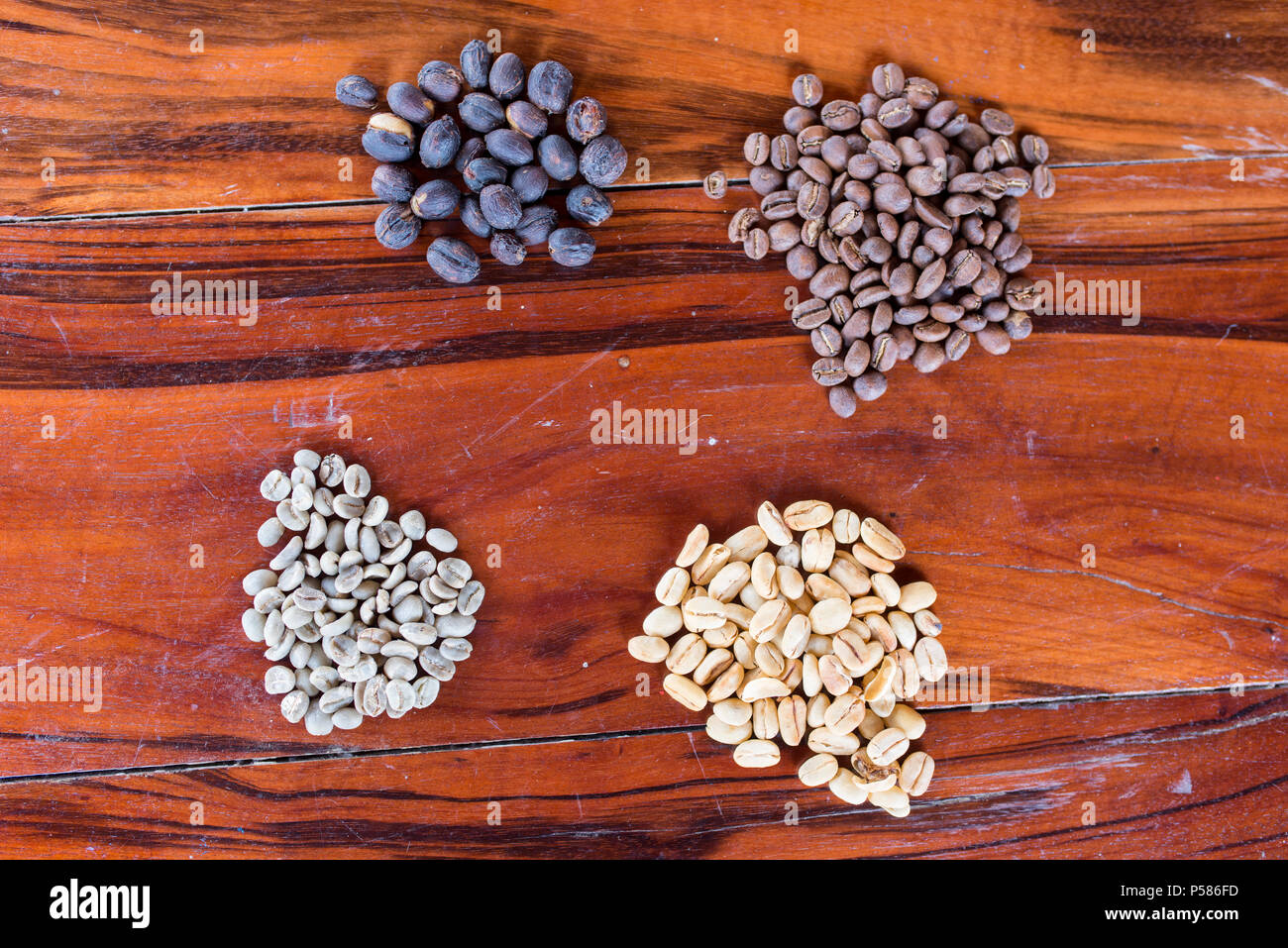 washed, honey, natural coffee process Stock Photo - Alamy
