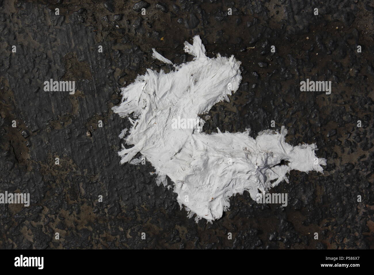 Sheet of stiff paper hi-res stock photography and images - Alamy
