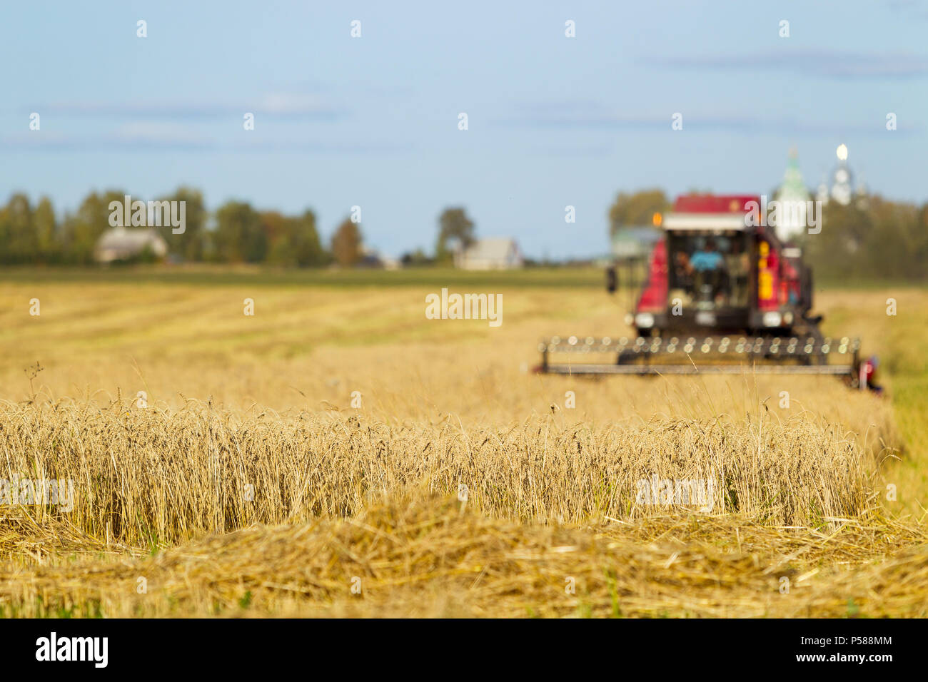 Wheat field, agricultural machinery for harvesting Stock Photo - Alamy