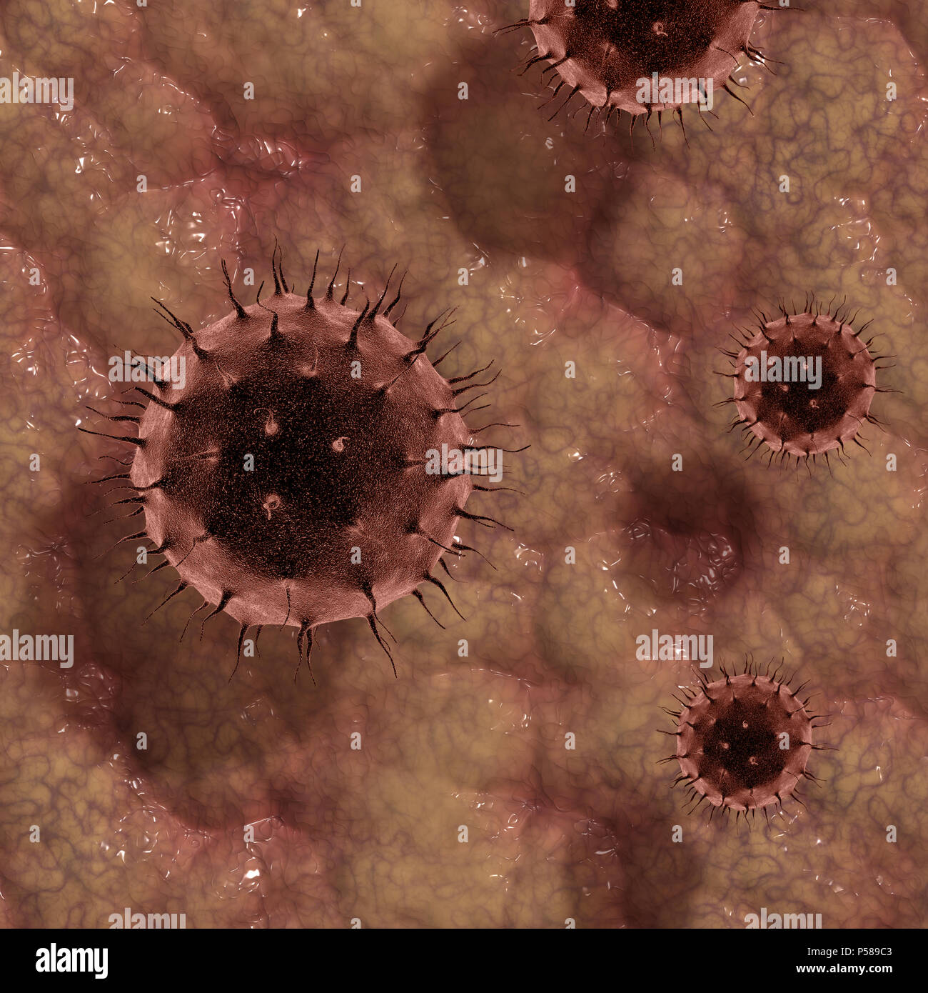 Microscopic skin cells human hi-res stock photography and images - Alamy