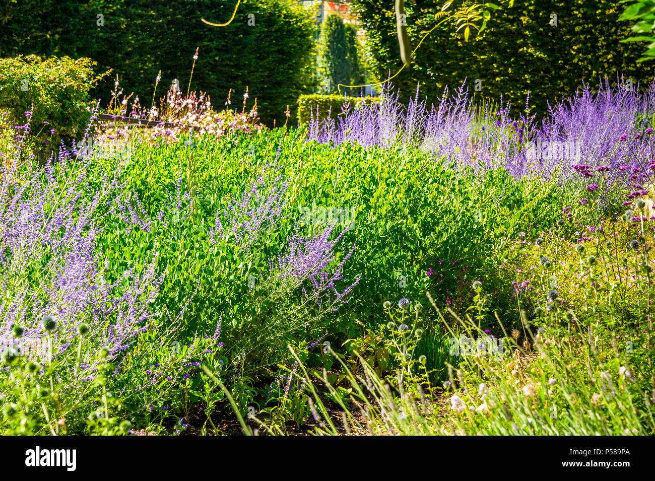 Parc Andre Citron in Paris, France Stock Photo - Alamy