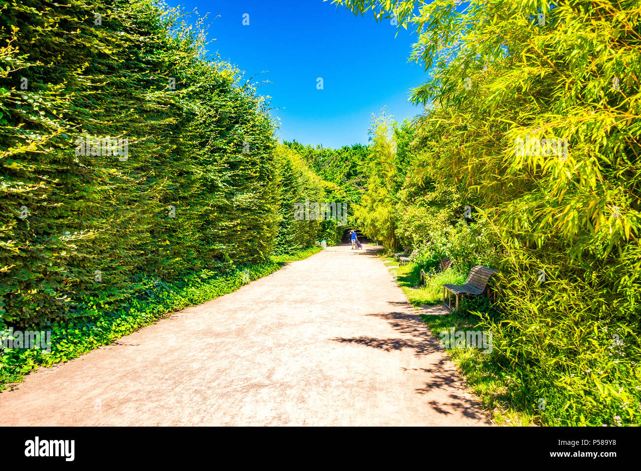 Parc Andre Citron in Paris, France Stock Photo - Alamy