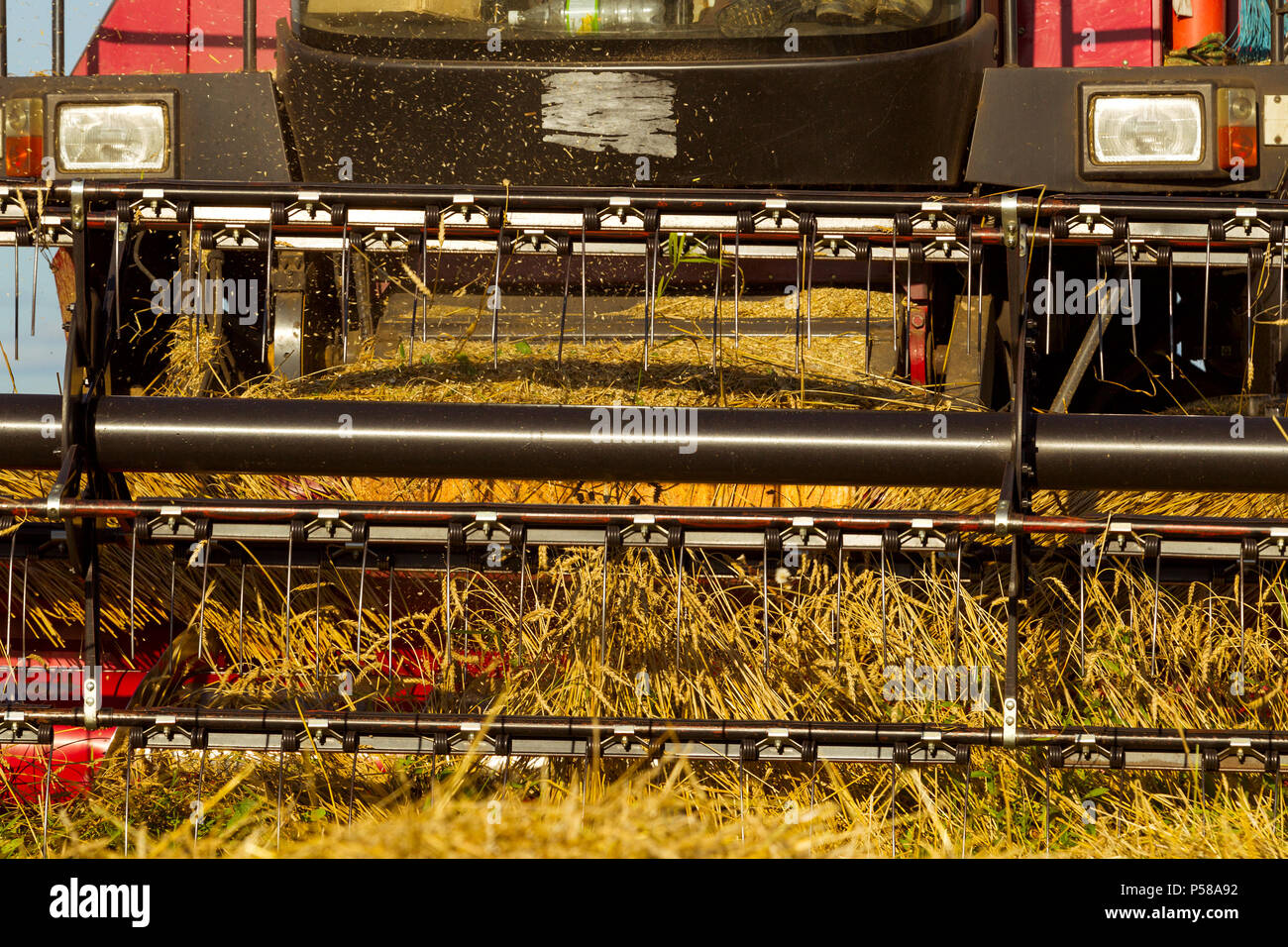 Wheat field, agricultural machinery for harvesting Stock Photo - Alamy
