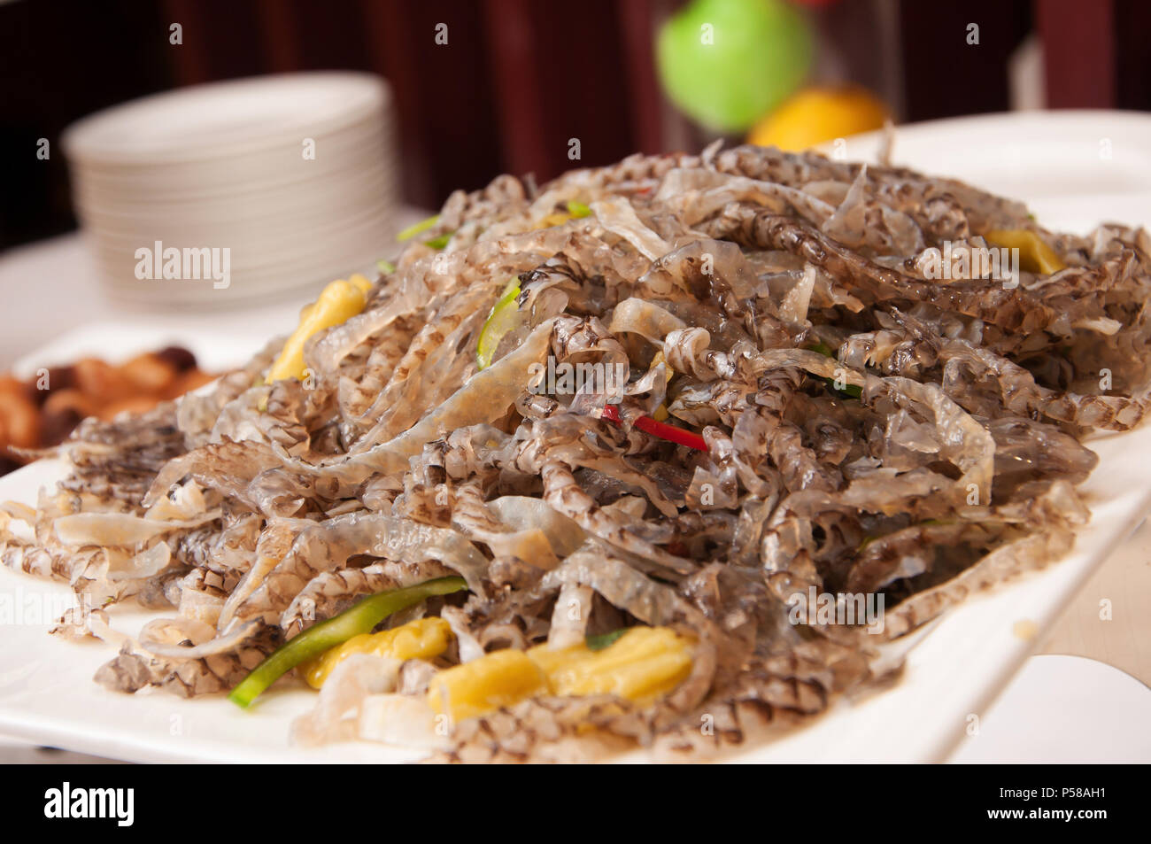 Skin culture dish hi-res stock photography and images - Alamy