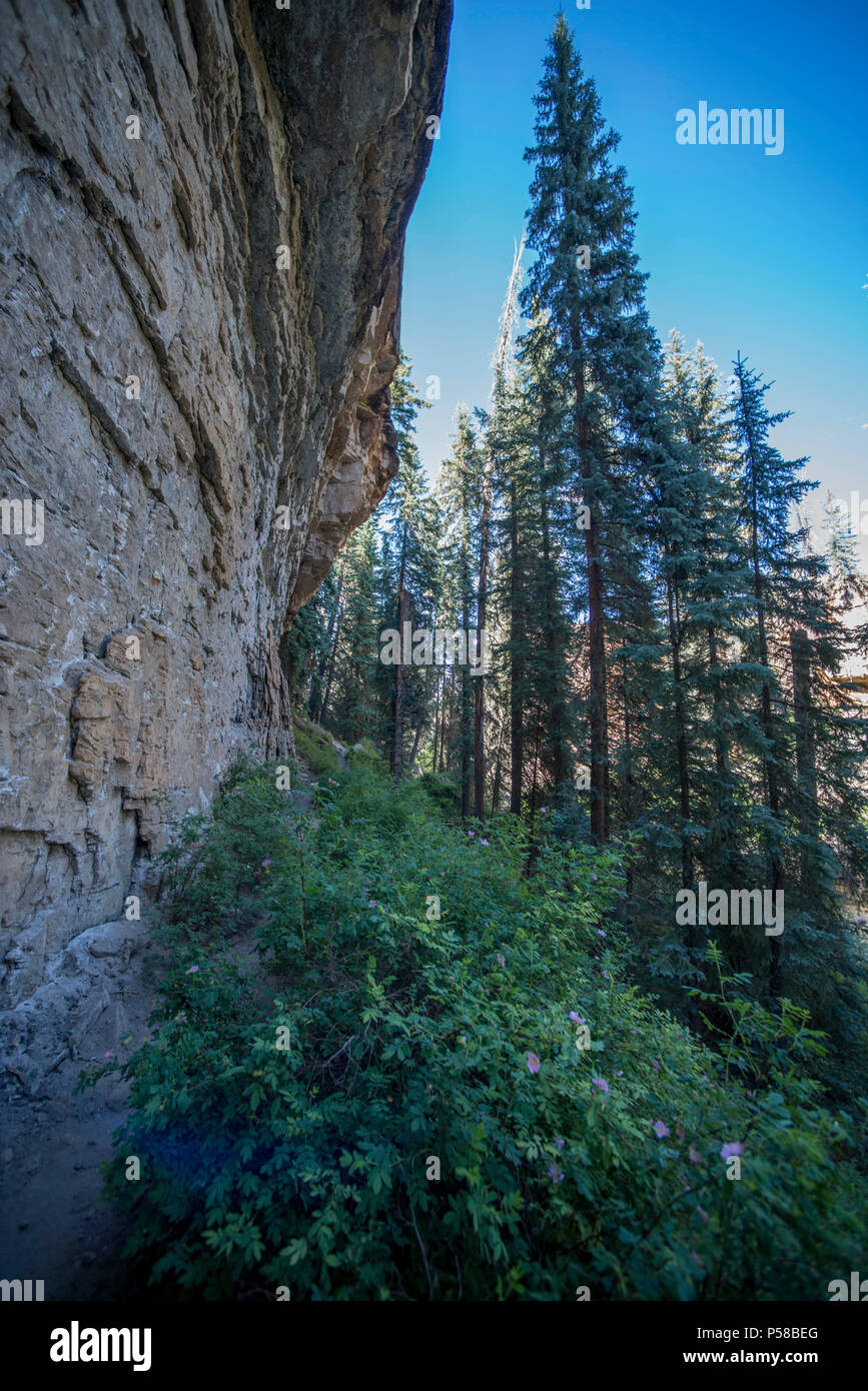 Forest and cliffs line the Piedra River Canyon, in the San Juan ...