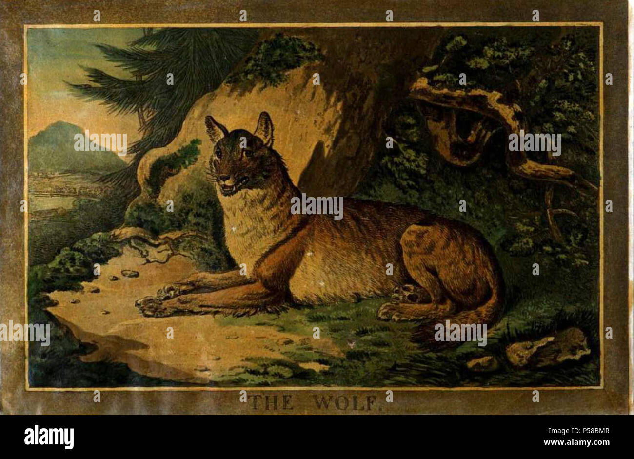 Cattons hi-res stock photography and images - Alamy