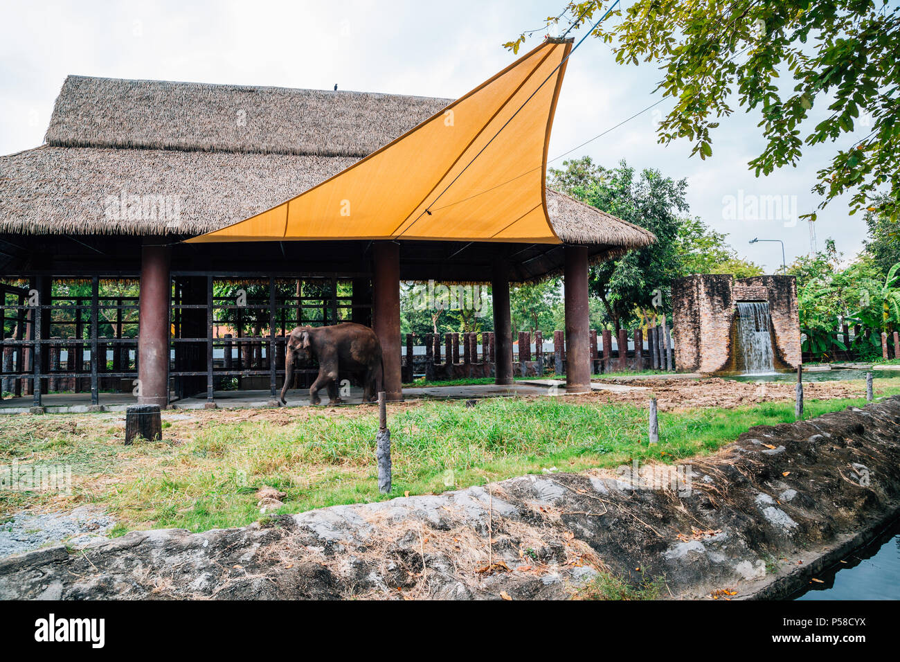 Bangkok dusit park hi-res stock photography and images - Alamy