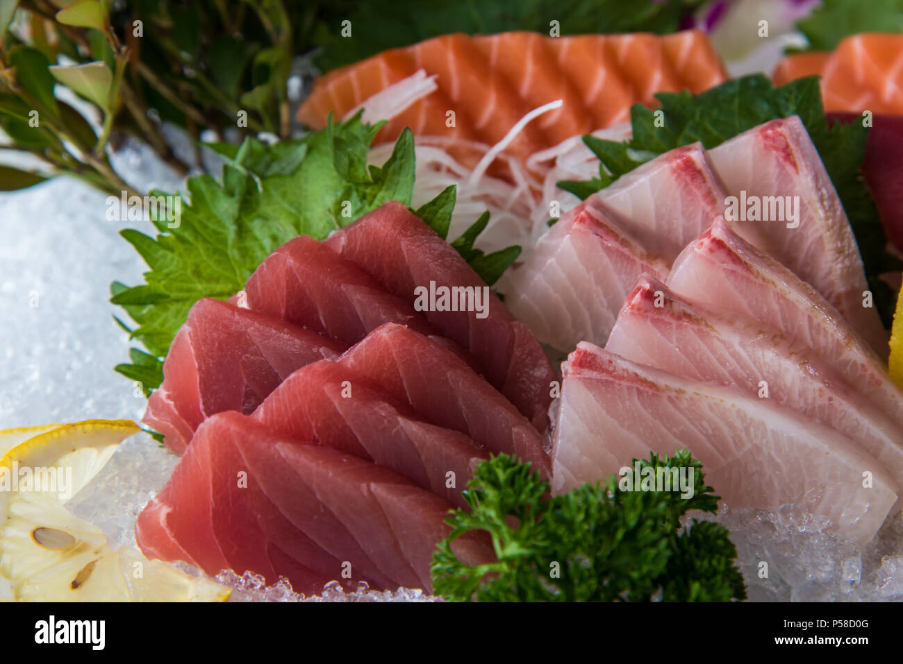 Sashimi decorative plate hi-res stock photography and images - Alamy