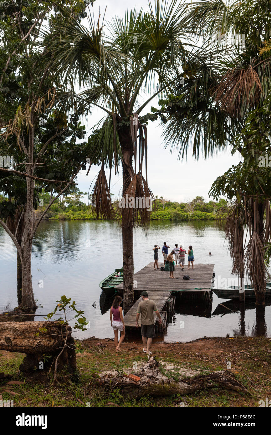 Amazonas, Brazil. Group of travelers on wooden pier in the Negro River ...