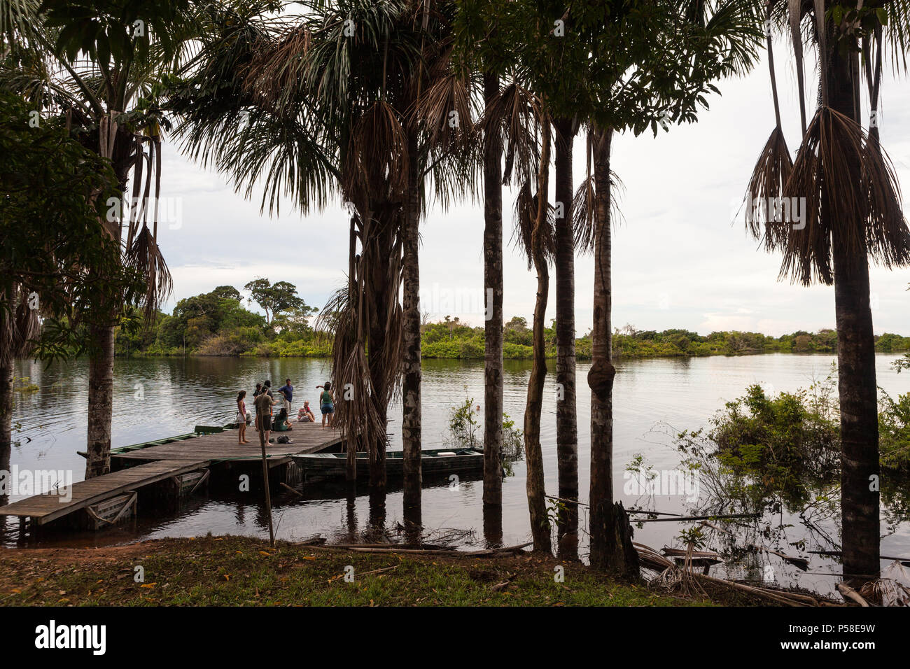 Amazonas, Brazil. Group of travelers on wooden pier in the Negro River ...