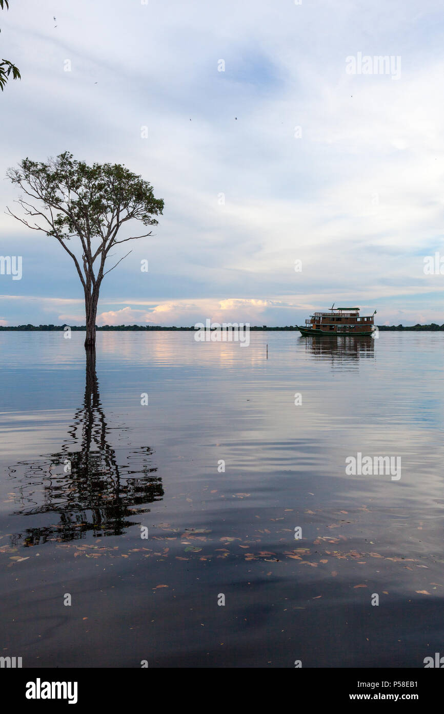 Amazonas, Brazil. The reflection of a tree and a traditional wooden ...