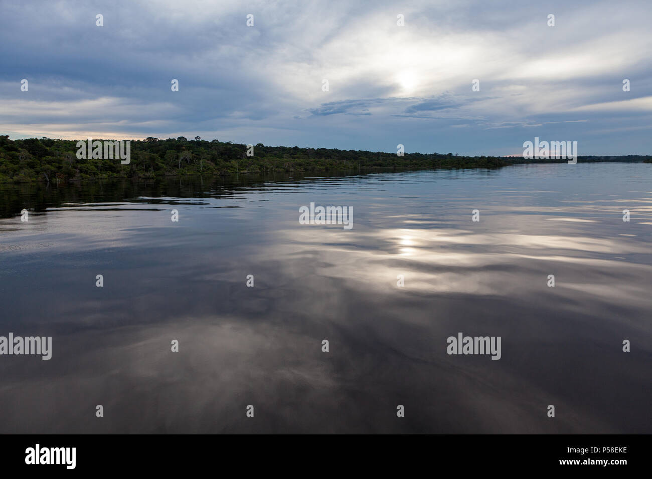 Amazonas, Brazil - River bank in the Amazon rainforest with textured ...