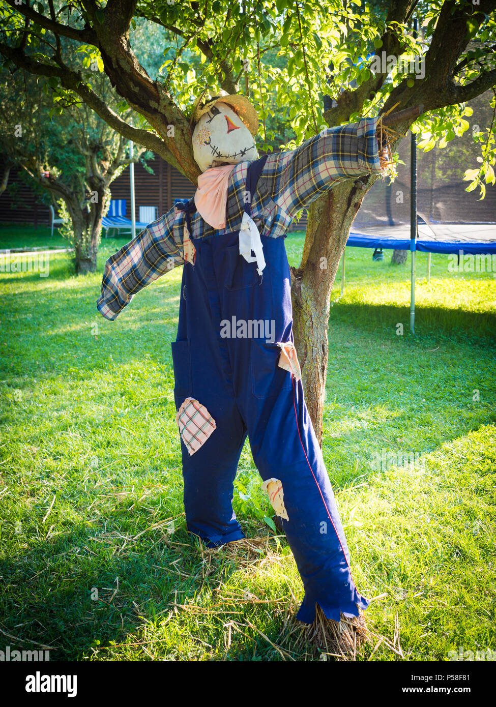 Cute scarecrow with a blue suit in an orchard Stock Photo - Alamy