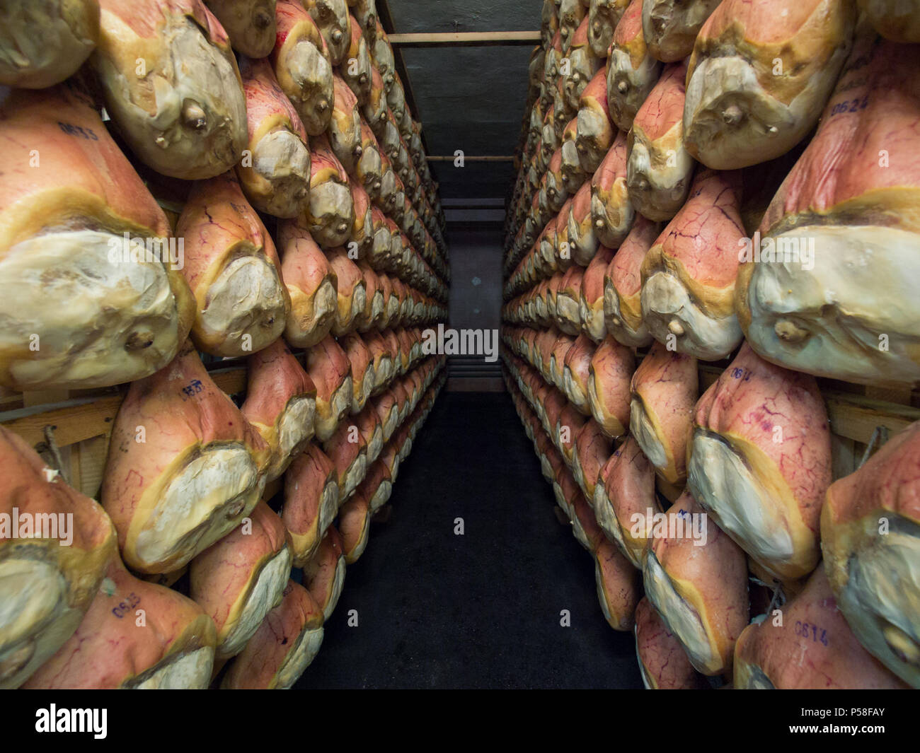 Thighs of ham during the curing process hanging in a cellar Stock Photo ...