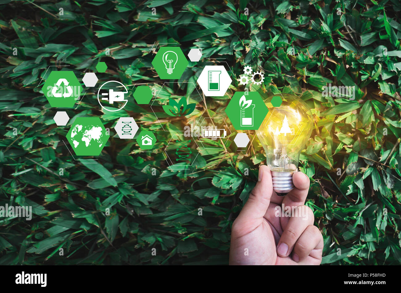 green energy concept energy sources sustainable Ecology Elements Stock ...