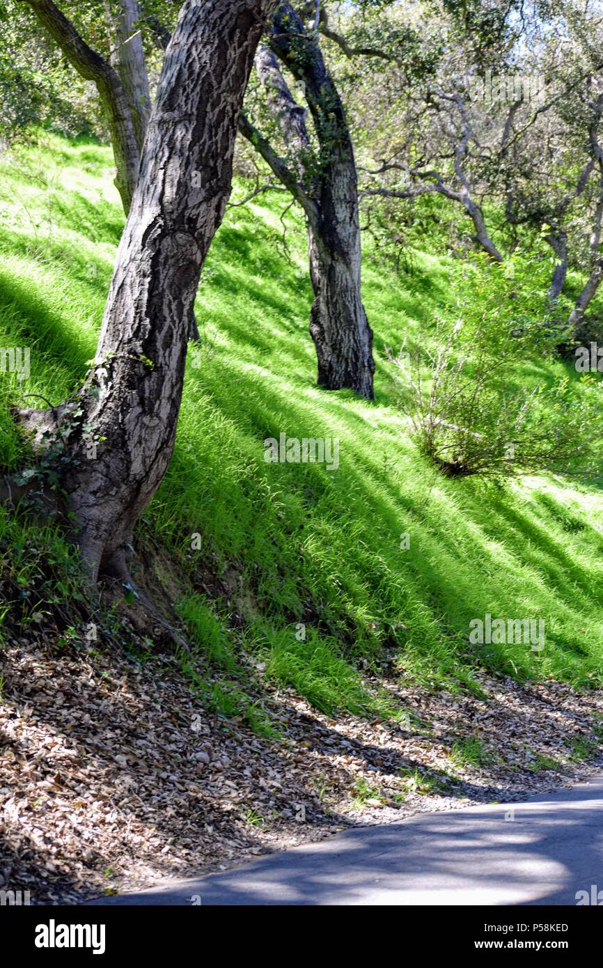Hillside gardens hi-res stock photography and images - Alamy