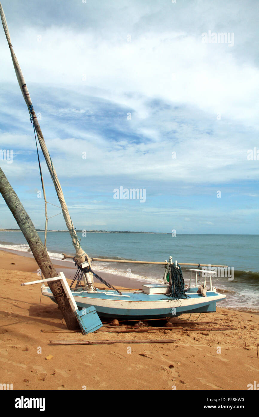 Pititinga hi-res stock photography and images - Alamy