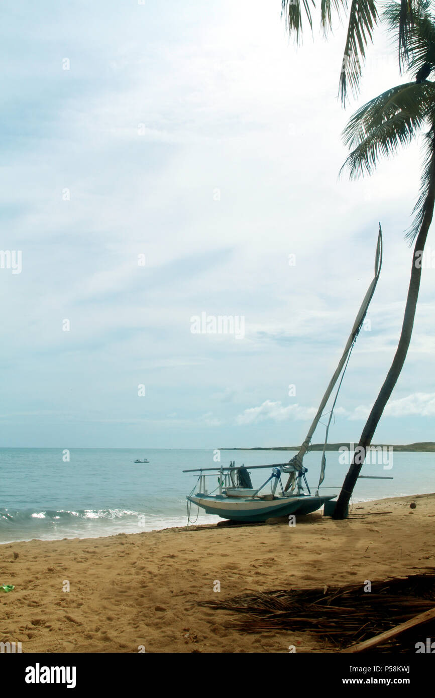 Pititinga beach hi-res stock photography and images - Alamy