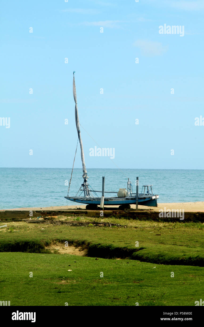 Pititinga hi-res stock photography and images - Alamy