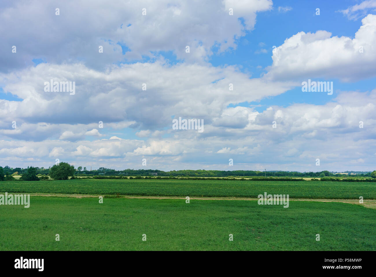 Rural landscape with blue sky and clouds near London, United Kingdom ...