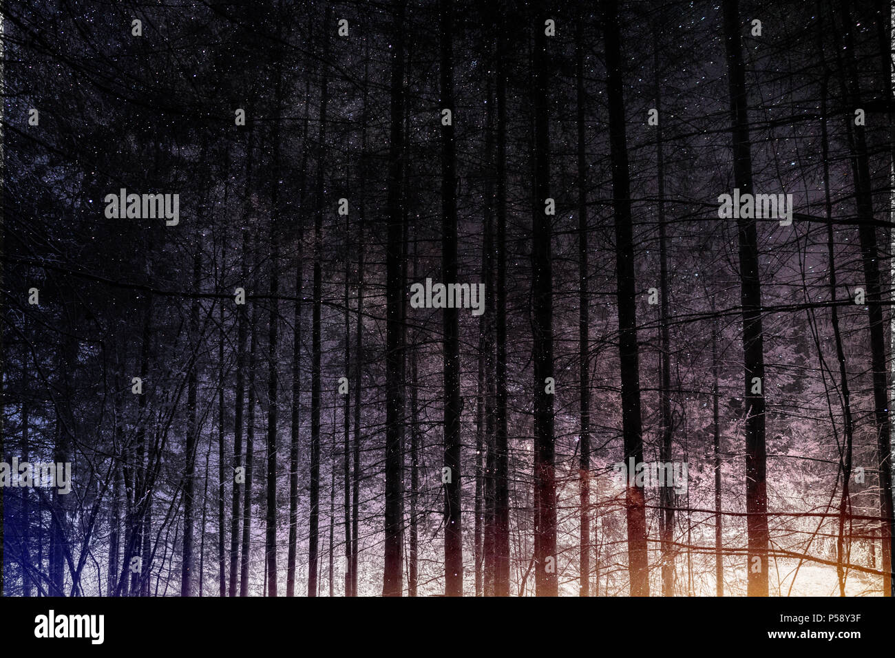 forest in space Stock Photo - Alamy