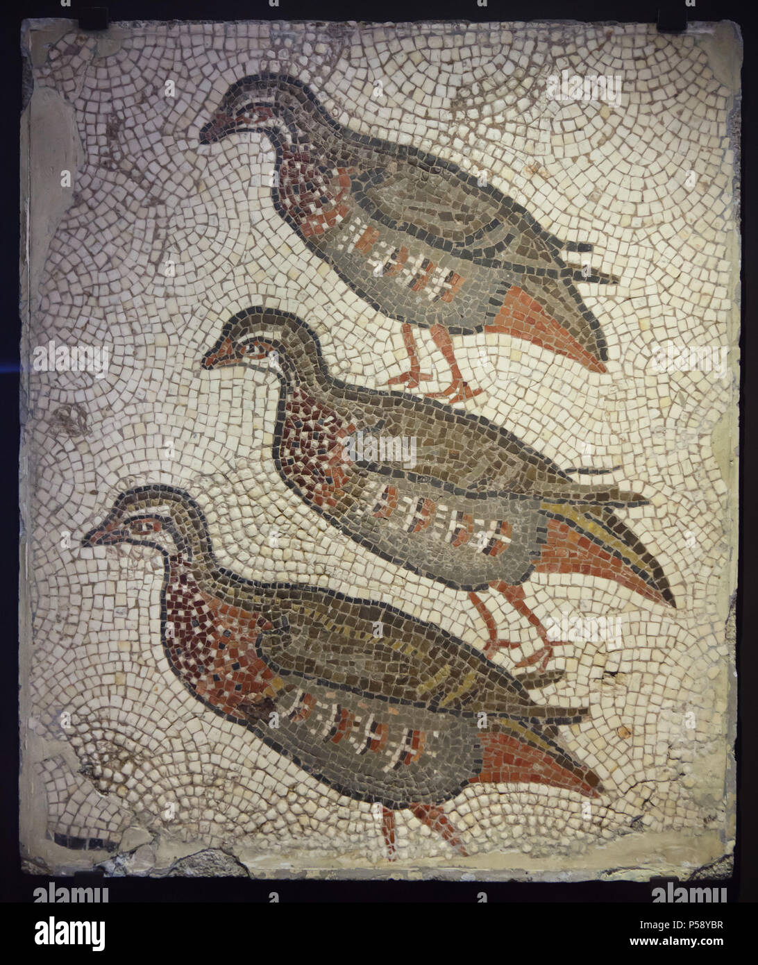 Roman Bird Mosaic High Resolution Stock Photography and Images - Alamy
