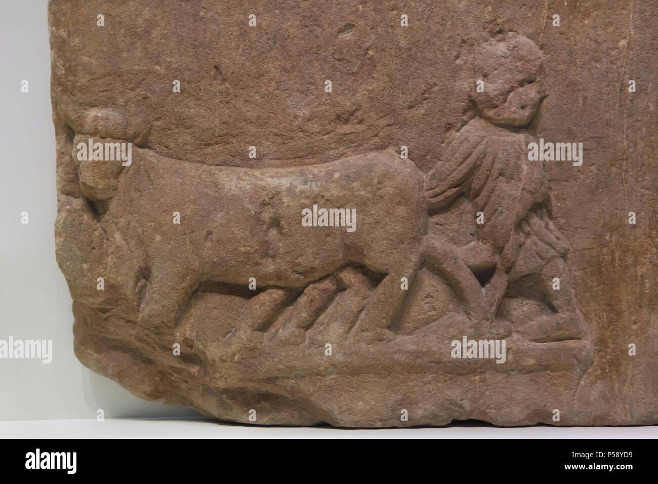Tilling the Land. Roman sandstone relief from the 1st century AD from ...