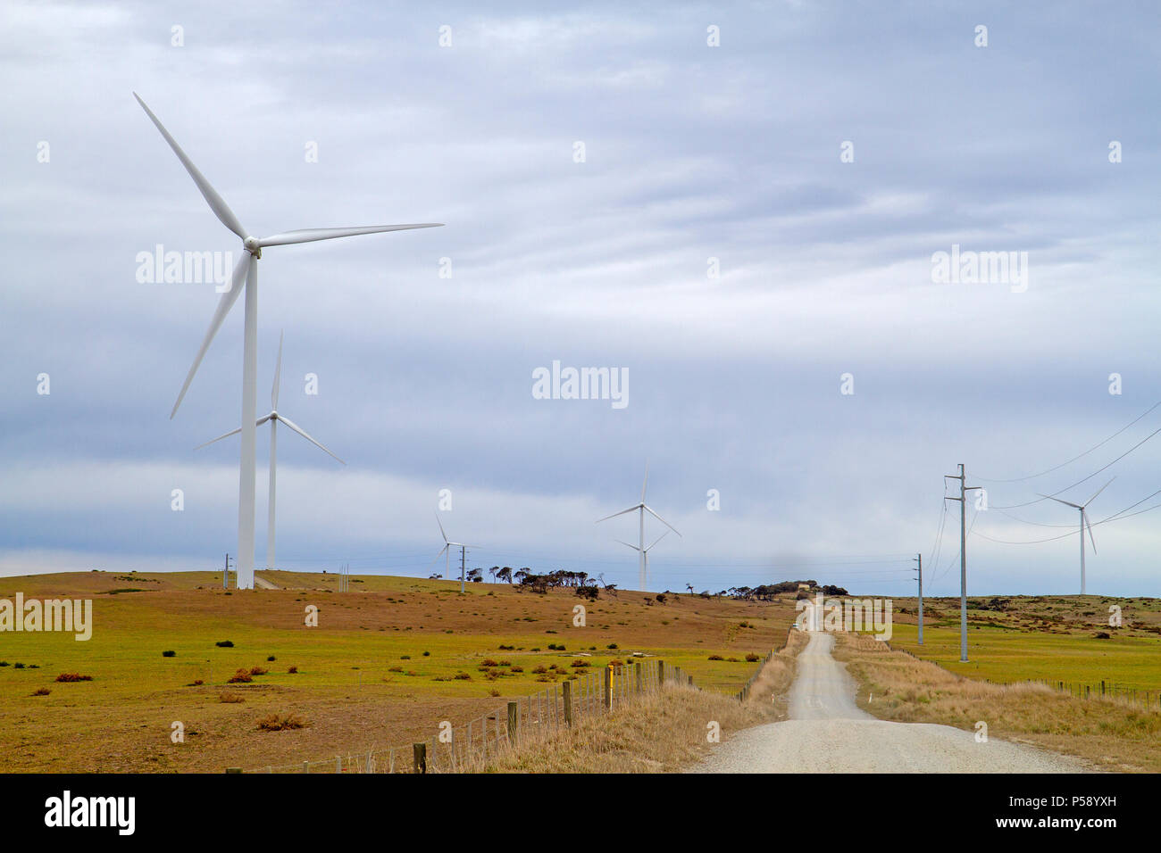 Musselroe Wind Farm in north-east Tasmania Stock Photo - Alamy